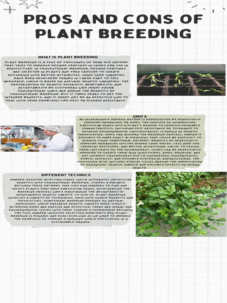 Blue Entrepreneur Personalities Business Infographic | PDF | Plant ...