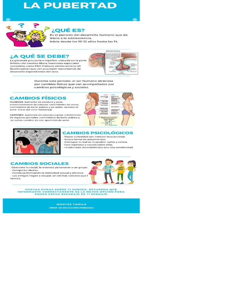 La Pubertad Adolescencia | PDF