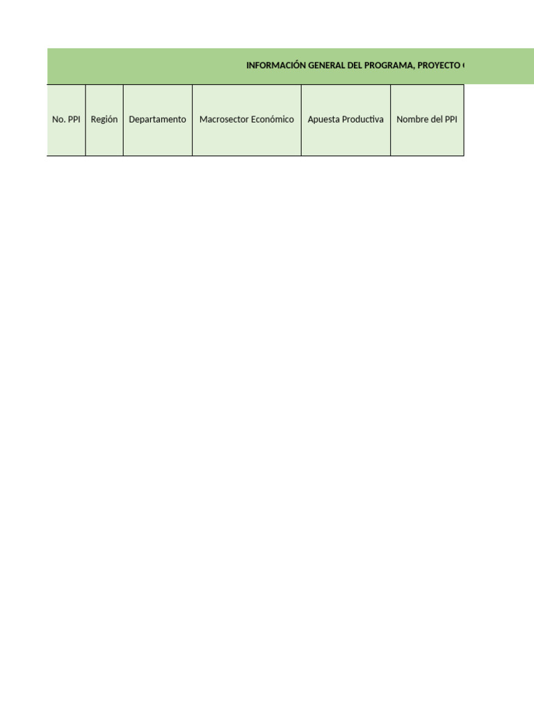 Información General de Proyectos PPI | PDF