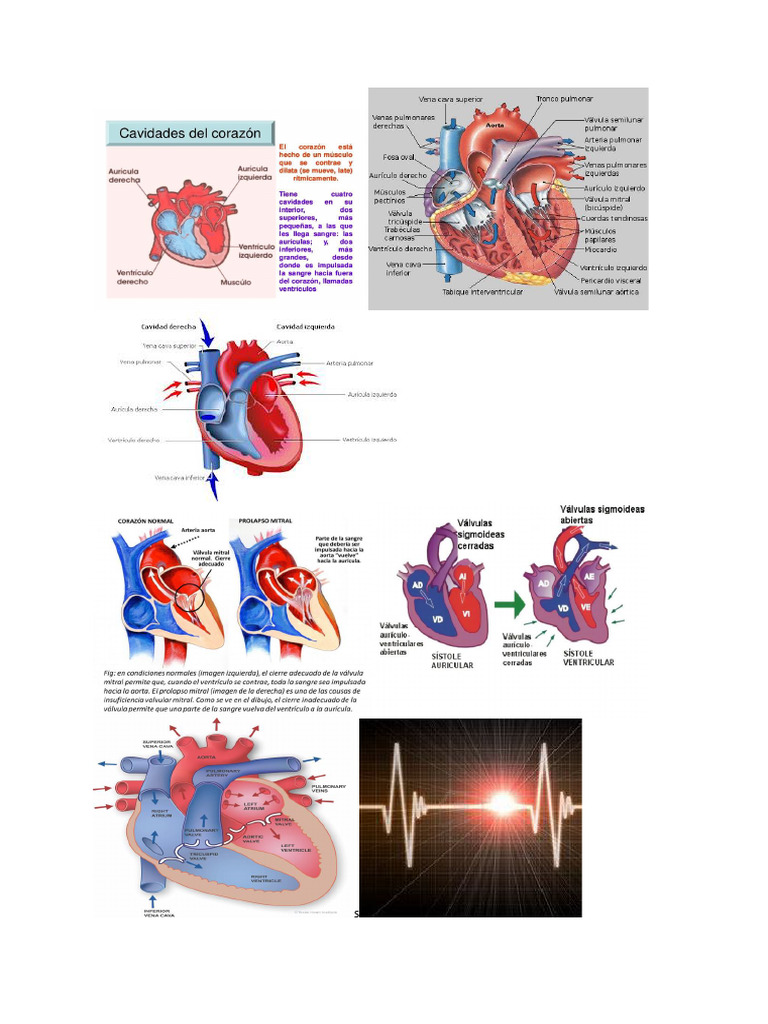 Imagenes de Deber | PDF