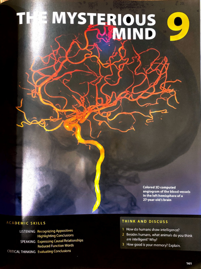 Understanding Multiple Intelligences | PDF | Adjective | Thought