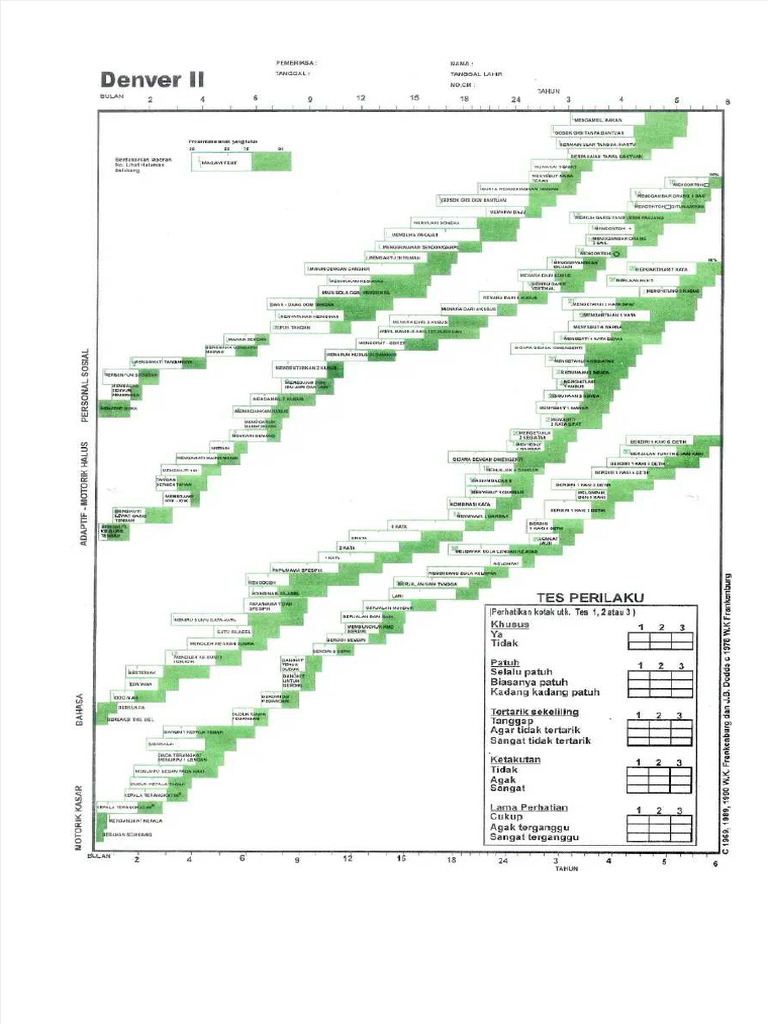 PDF Form Denver II DDST Iidoc Compress | PDF