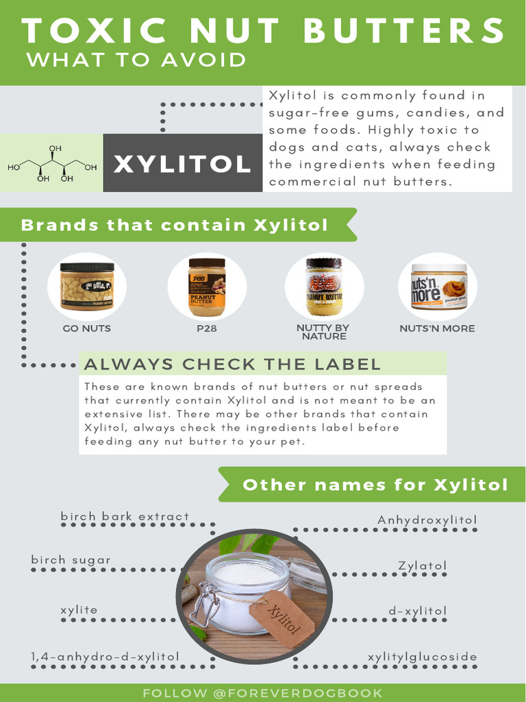 Nut Butters with Xylitol: Safety Guide | PDF | Almond | Nut (Fruit)
