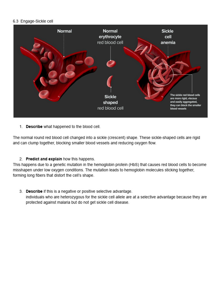 6.3 engage-Sickle cell | PDF