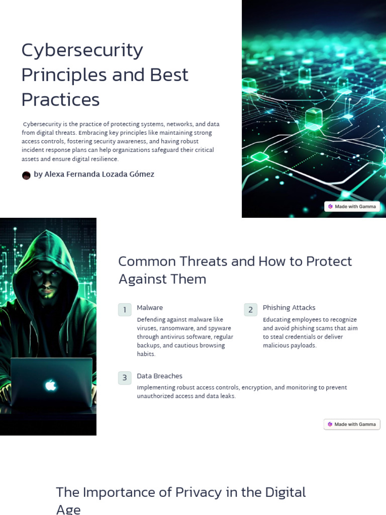Cybersecurity Principles and Best Practices | PDF | Security | Computer ...