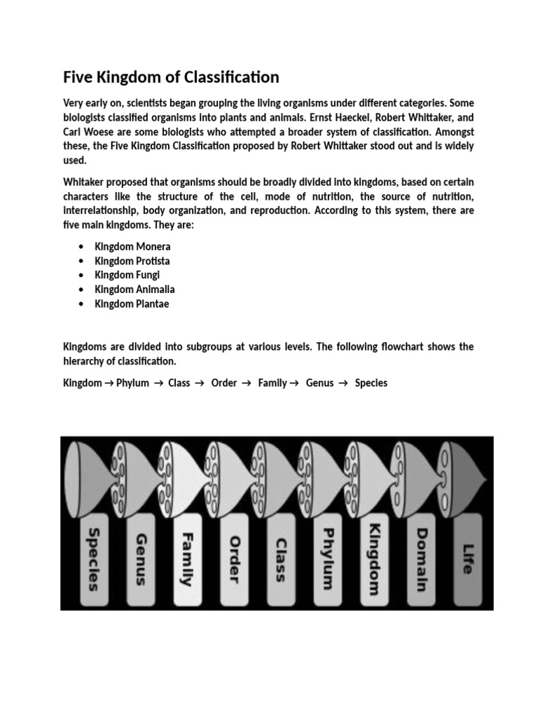 Five Kingdom Method | PDF | Cell (Biology) | Biology