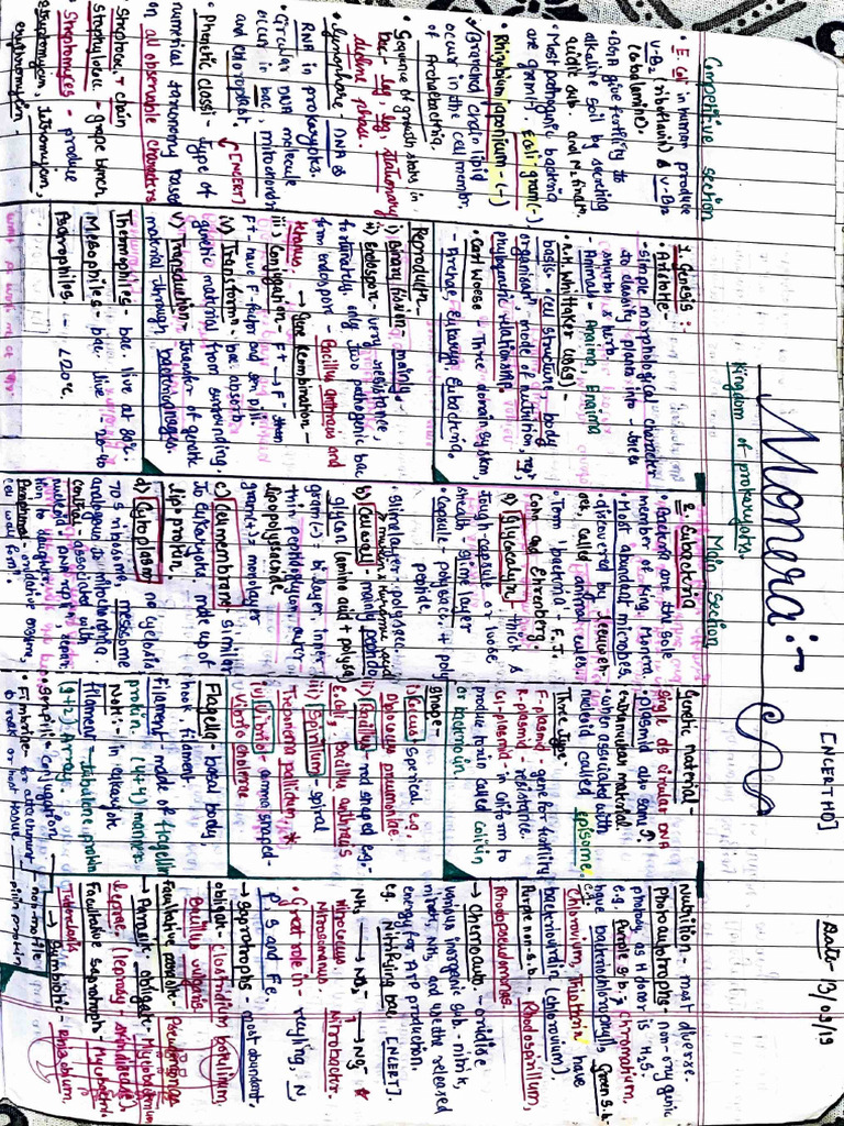 Unreadable Document Placeholder | PDF