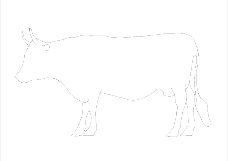 Charlotte Cow A4 | PDF
