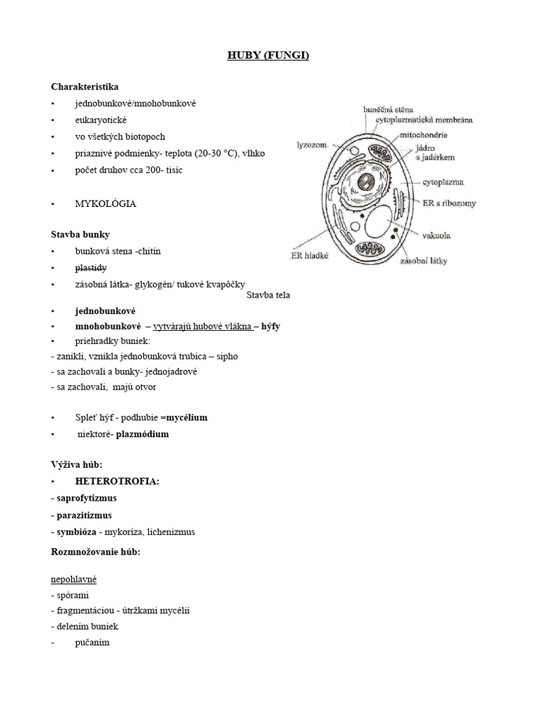 Huby_220526_135907 | PDF