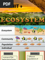 Year 8 Ecosystems Revision Guide | PDF | Rainforest | Coral Reef
