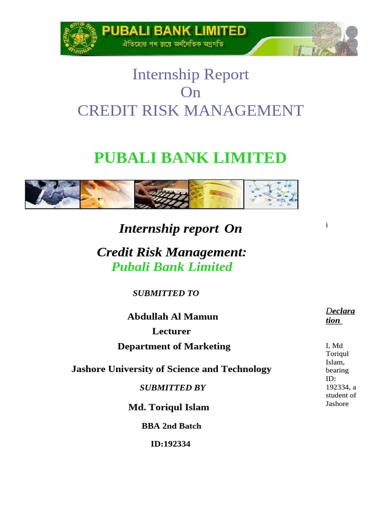 Credit Risk Management at Pubali Bank | PDF | Banks | Finance & Money ...