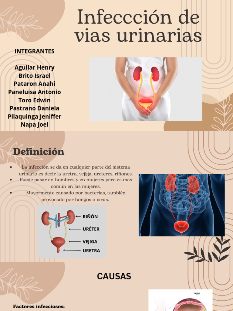 Infeccion de Vias Urinarias | PDF | Infección del tracto urinario ...