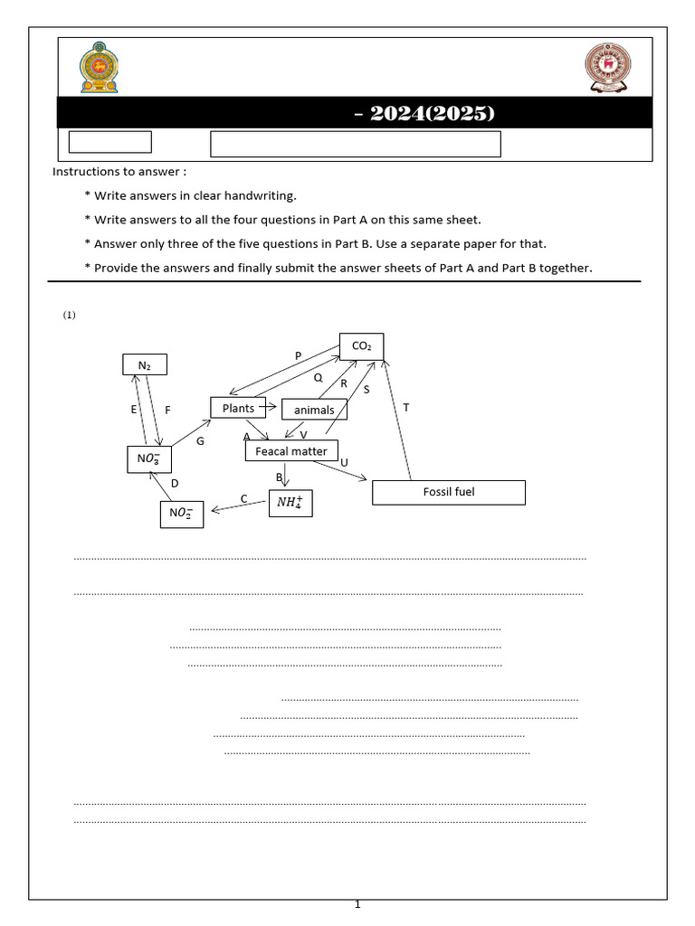 Part 2 Structured EM 4 Pages | PDF | Atoms | Chemical Elements