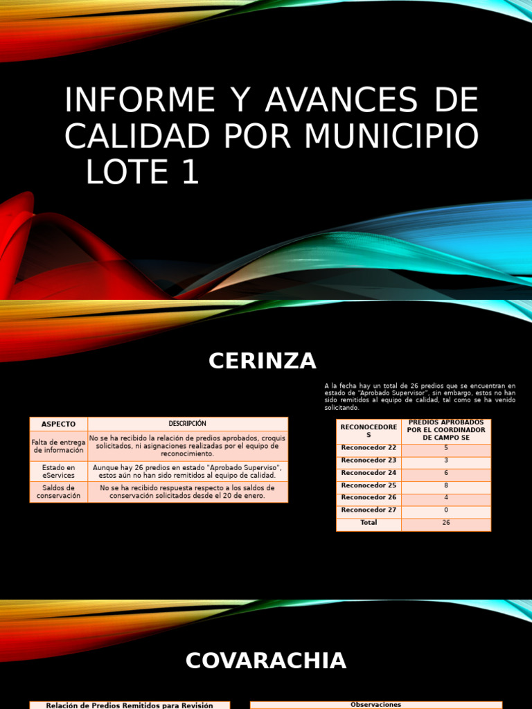 Informe y Avances de Calidad Por Municipio Bid Lote 1 Corte 31 Enero ...