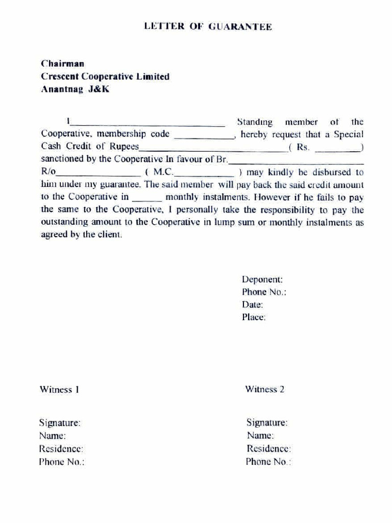 Letter of Guarantee | PDF