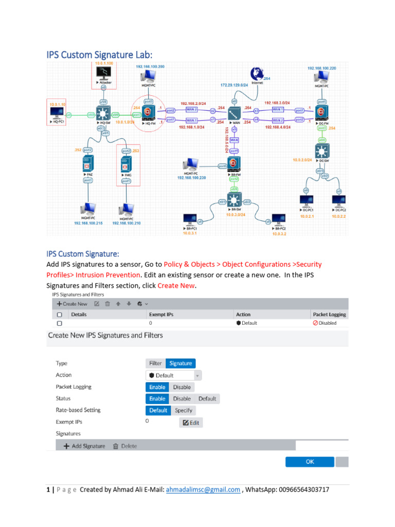 66-IPS Custom Signature Lab | PDF