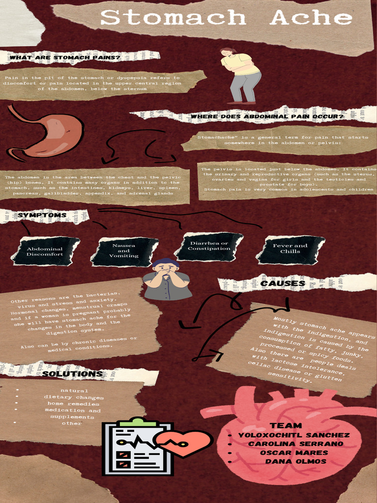 Causes and Remedies for Stomach Aches | PDF | Abdomen | Organ (Anatomy)