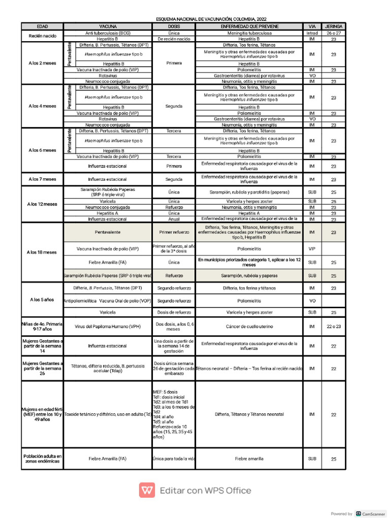 ULTIMO ESQUEMA PAI | PDF