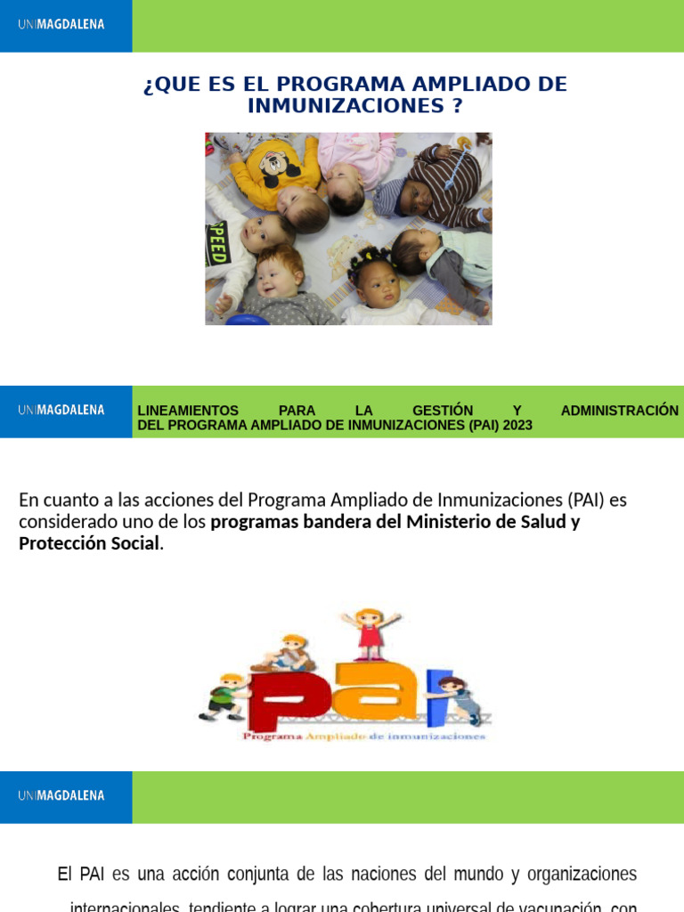 PROGRAMA AMPLIADO DE INMUNIZACION - Nelvis | PDF | Sistema inmune ...