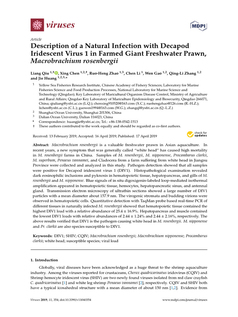 Decapod Iridescent Virus in Freshwater Prawn | PDF | Virus | Virology