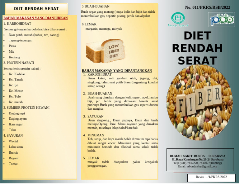 Panduan Diet Rendah Serat | PDF