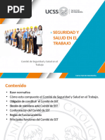 Funciones del CSST y SSST en Perú | PDF