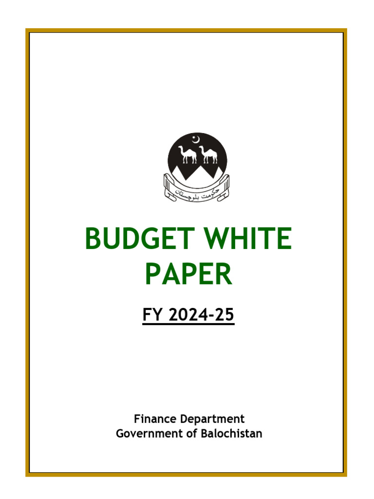 Balochistan Budget White Paper 2024-25 | PDF | Taxes | Budget