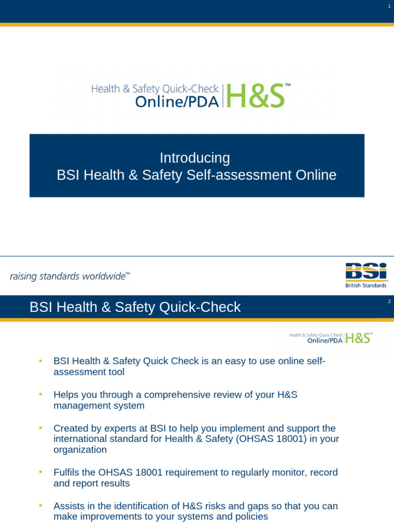 BSI Health & Safety Quick-Check Tool | PDF | Occupational Safety And ...