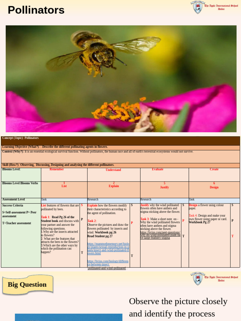 Pollinators Student | PDF | Flowers | Pollination