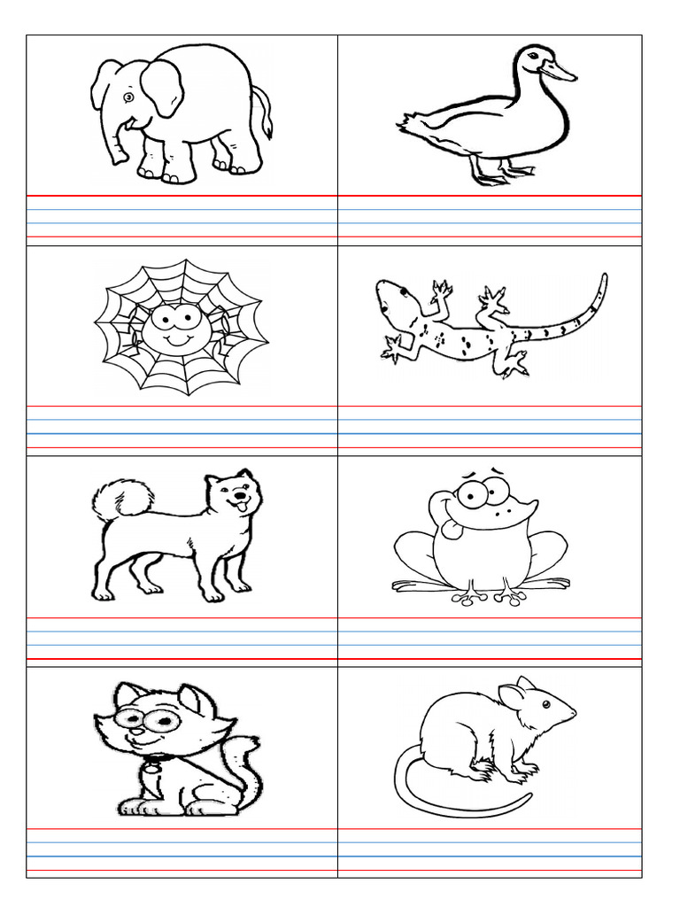 YEAR 1 Neat Writing Unit 3 Pet Show | PDF