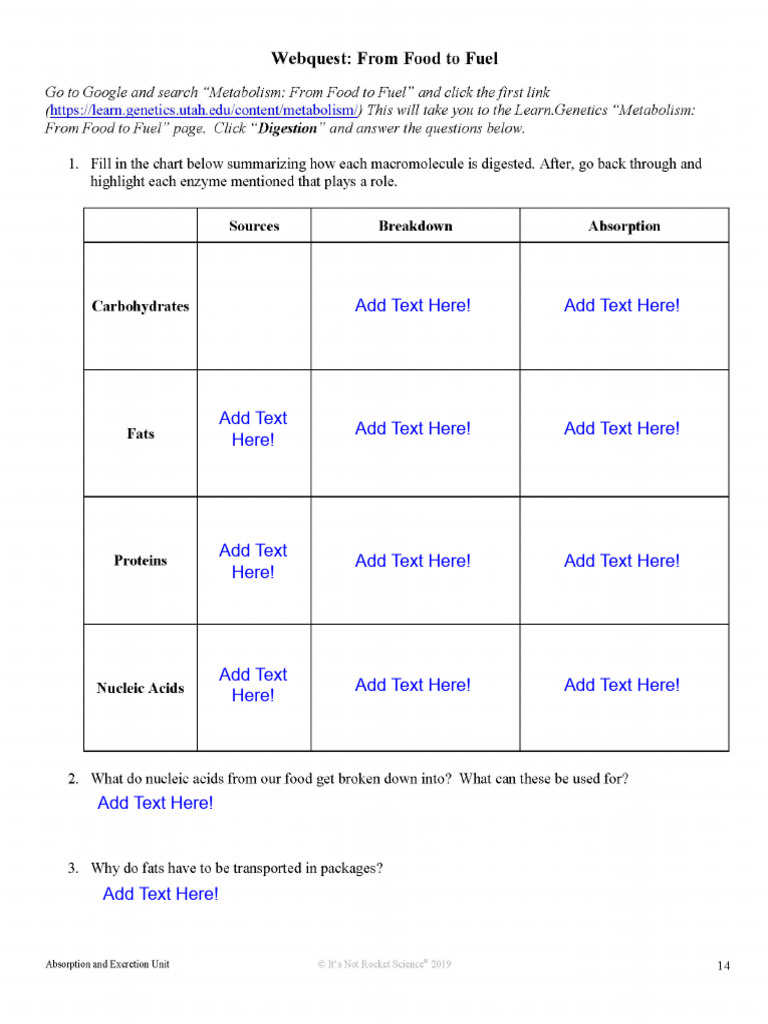 WebQuest: From Food to Fuel | PDF
