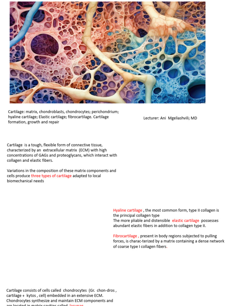 Cartilage | PDF | Cartilage | Extracellular Matrix