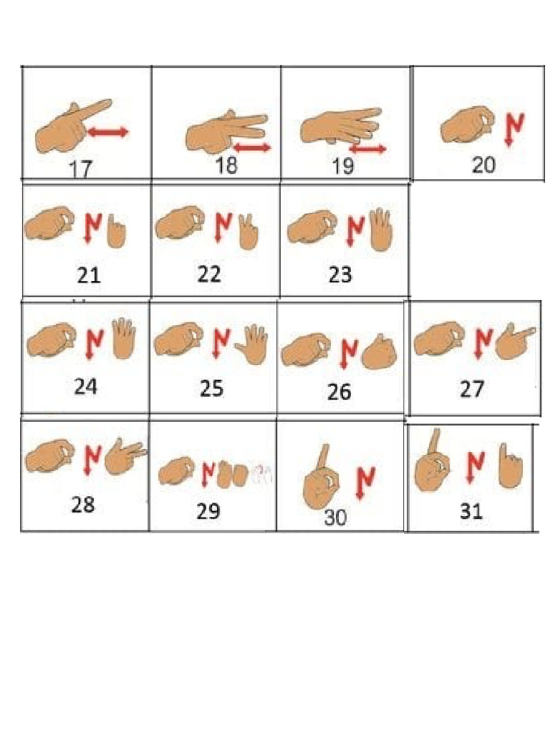 Numeros 1 A 31 LSM | PDF