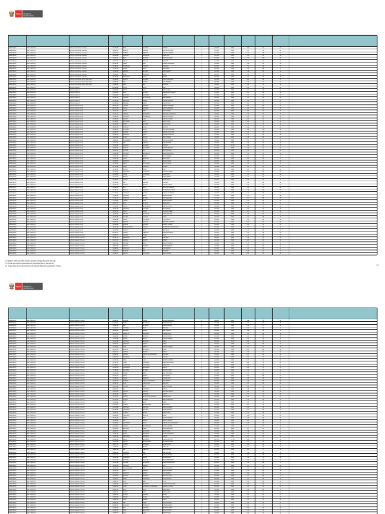 Plazas Directivas Resultados Finales | PDF