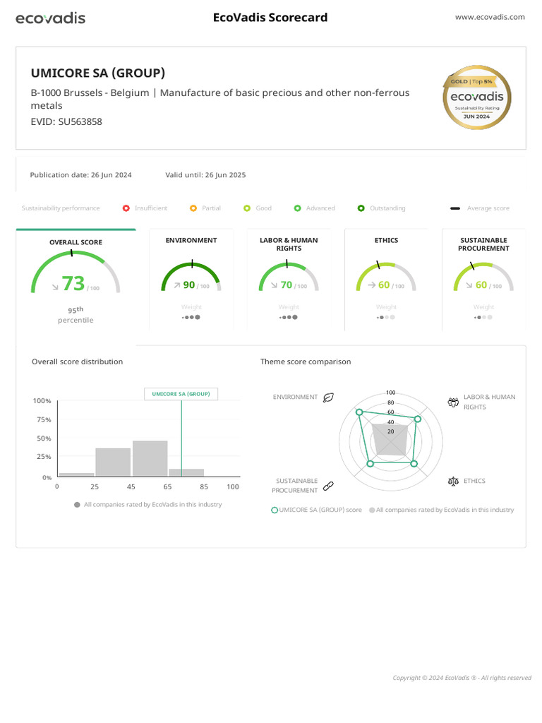 Ecovadis Scorecard 2024 Pdf Occupational Safety And Health Employment