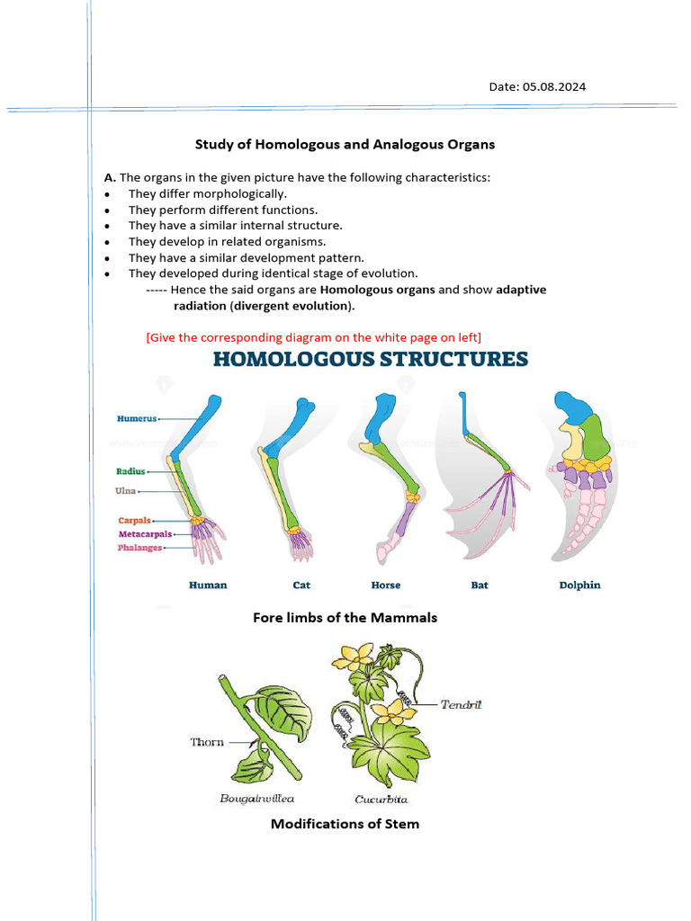 G12_Bio_Pract_Exp9_Study of Homologous and Analogous Organs | PDF