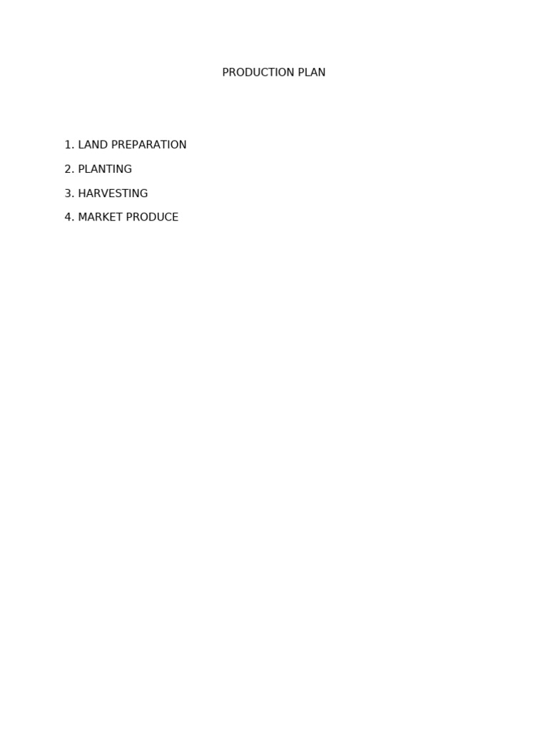 Production Plan | PDF