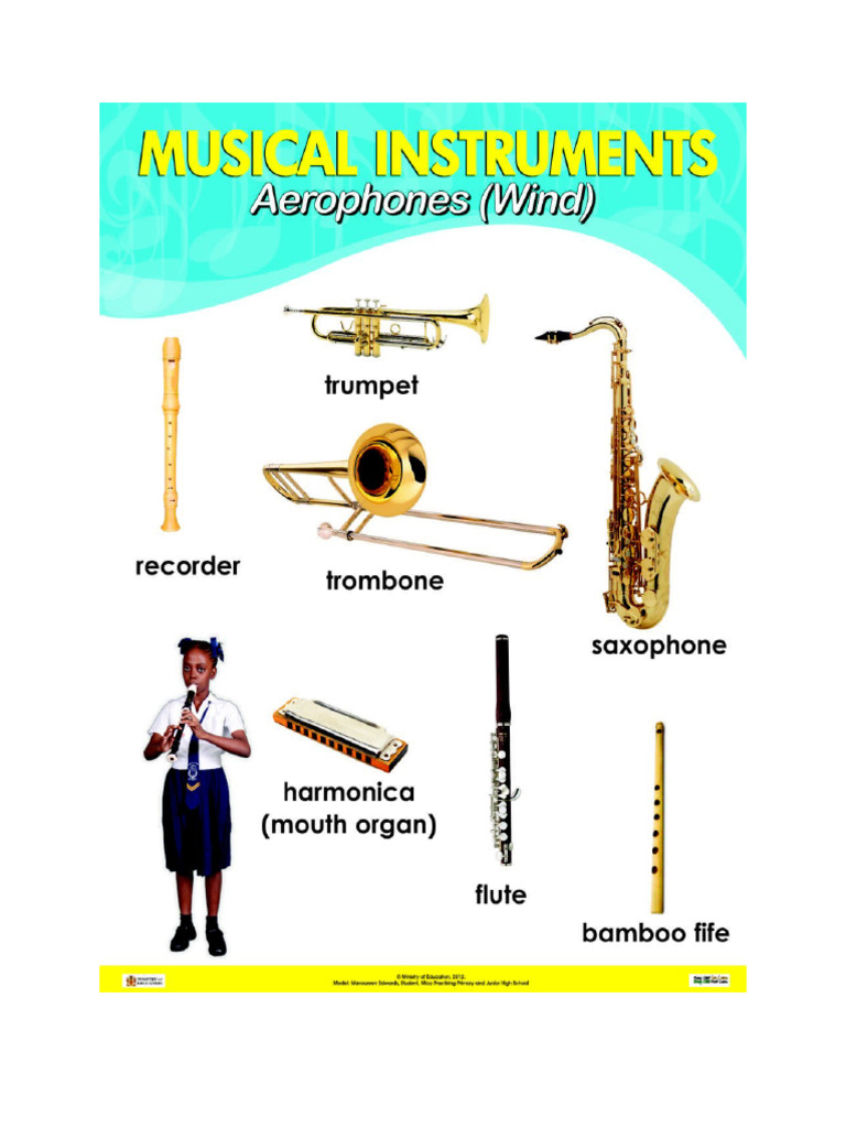Classification of Instrument | PDF