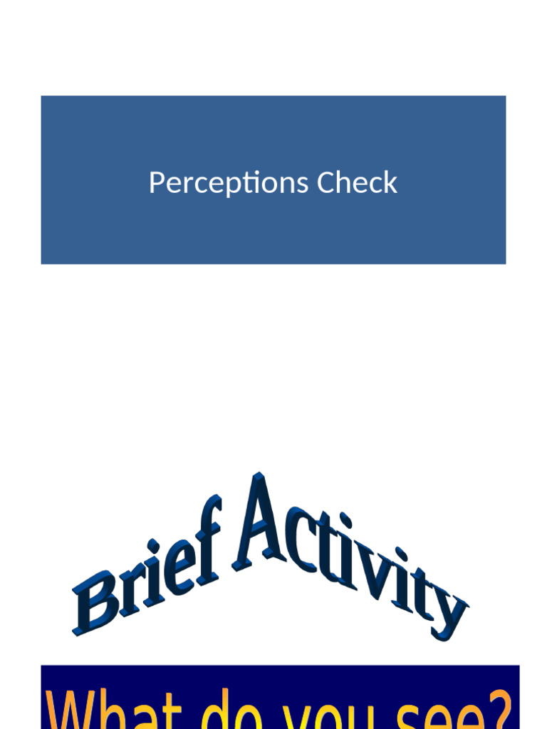 Perceptions Check | PDF