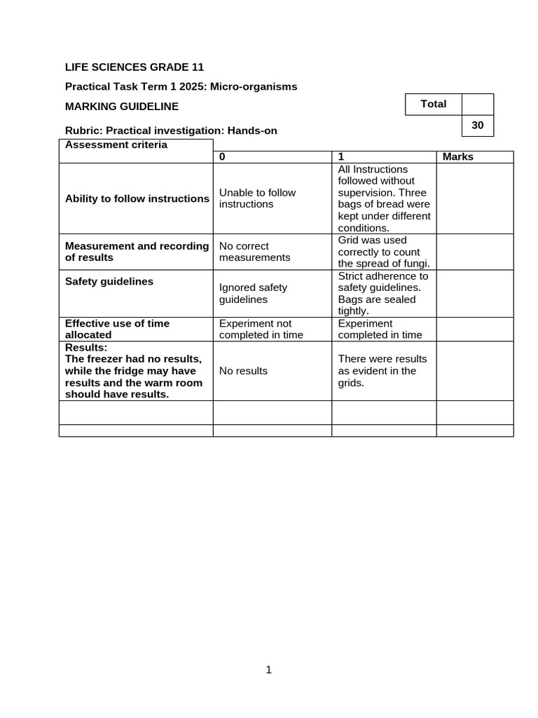 Grade 11 Fungi Practical MG | PDF