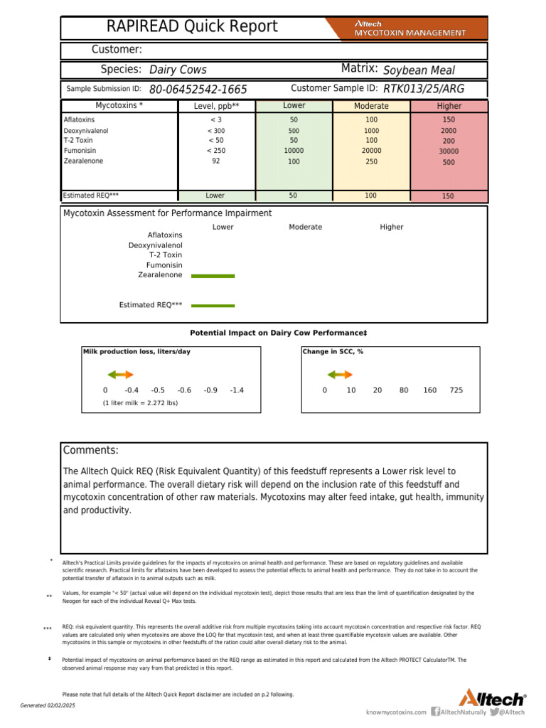 QuickReport-20250202201618 | PDF
