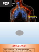 Respiration et branchies des poissons | PDF | Branchie | Physiologie ...