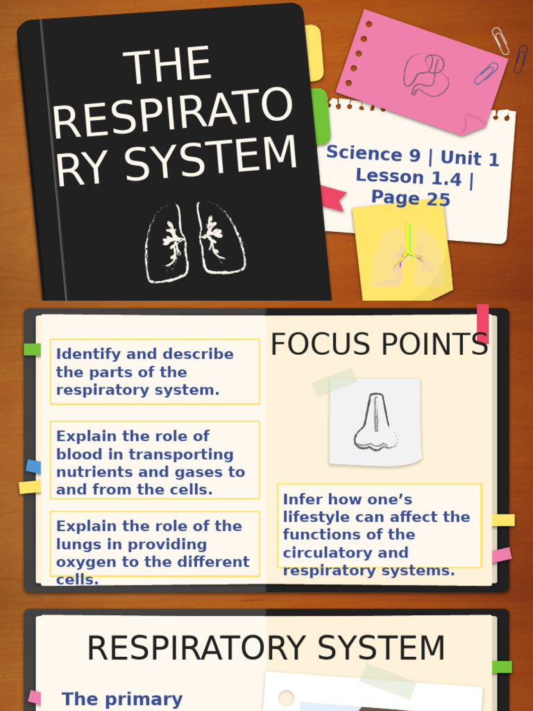 Understanding the Respiratory System | PDF | Respiratory Tract | Lung