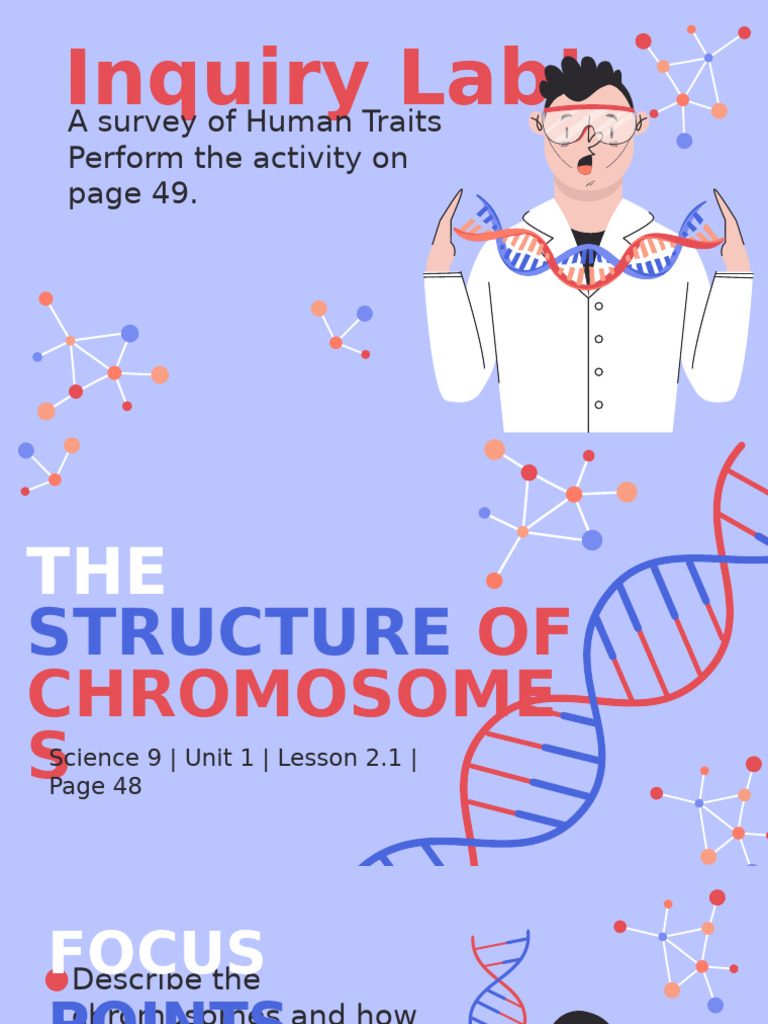 Lesson 2.1 Chromosomes | PDF | Chromosome | Ploidy