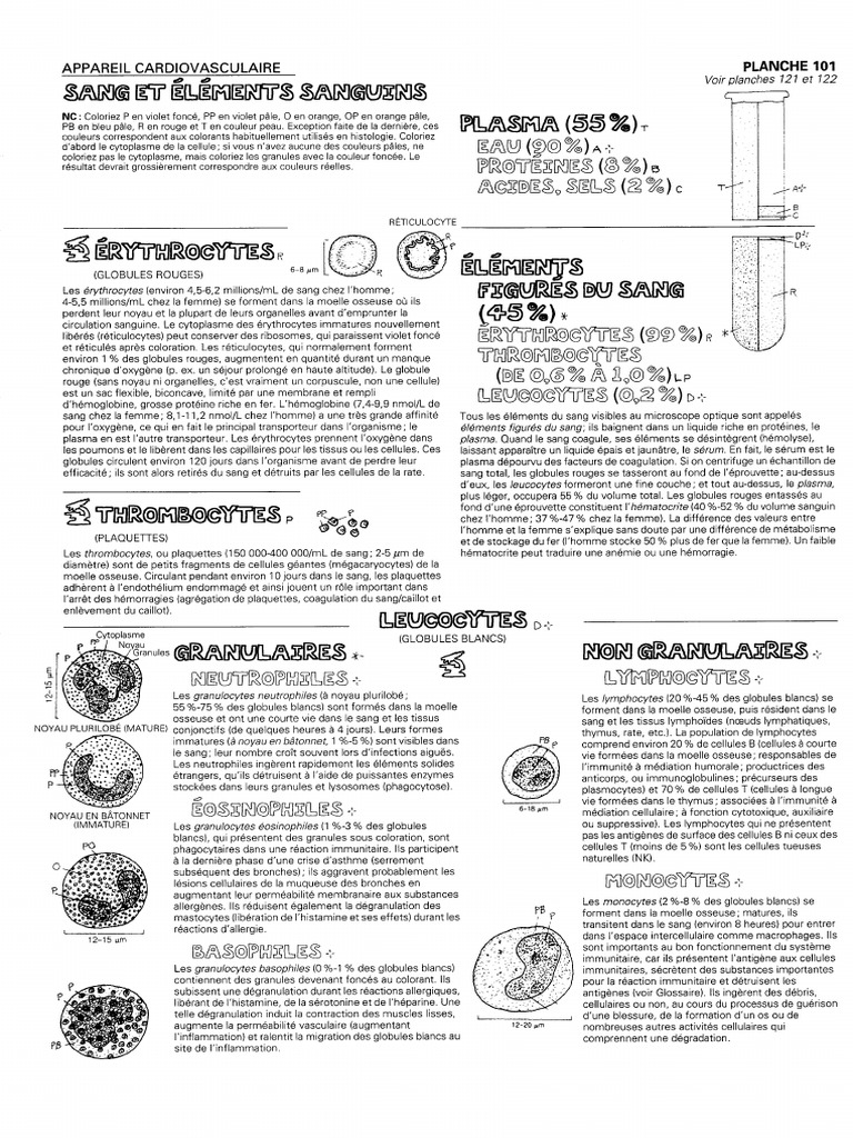 Planches 101 a 170 | PDF