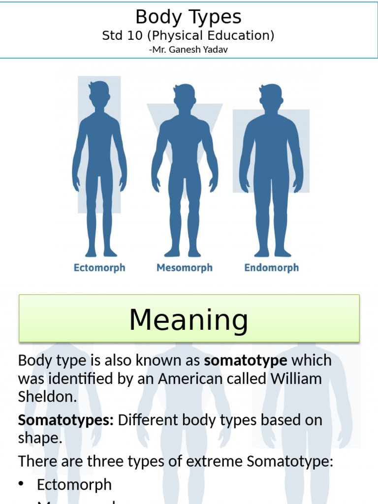 Somatotypes for Std 10 Students | PDF