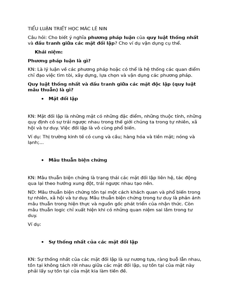 Tieu Luan Triet Hoc | PDF