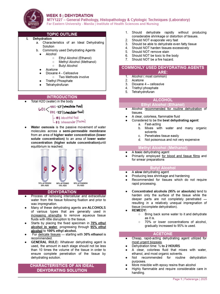 Week05 HCT Lab Dehydration | PDF | Ethanol | Tetrahydrofuran