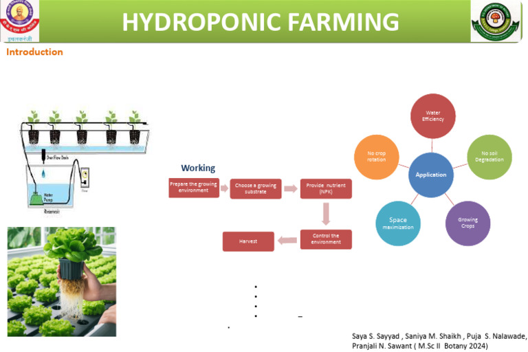 Hydroponic Farming | PDF | Hydroponics | Soil