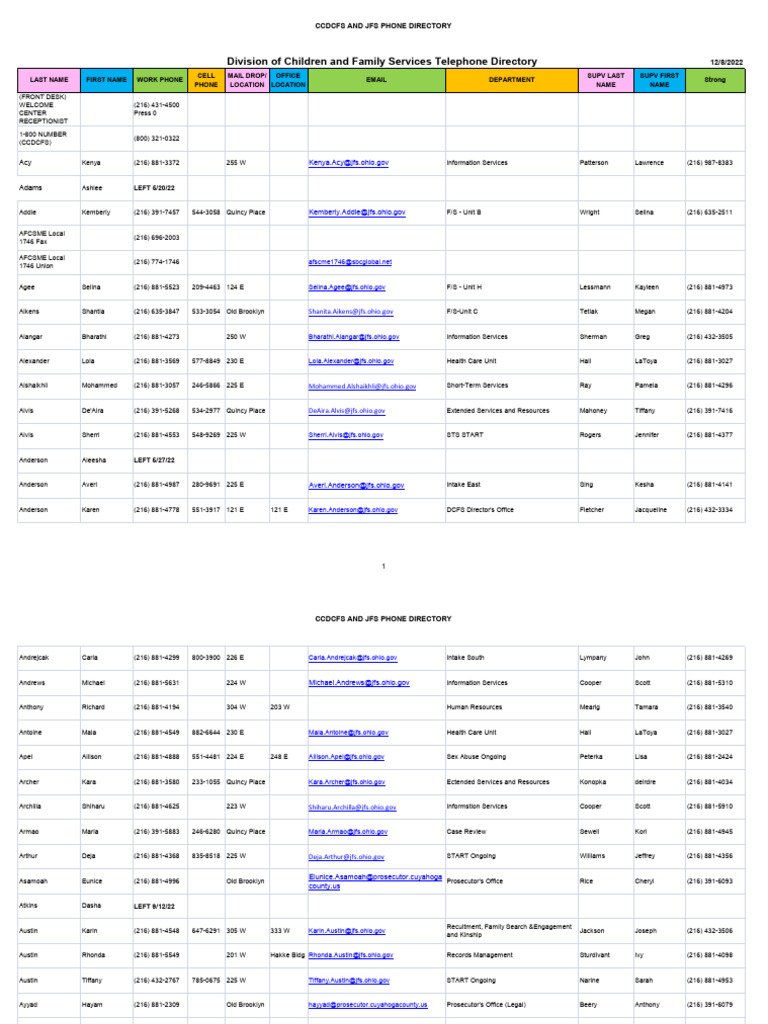 CCDCFS JFS Phone Directory 2022 | PDF